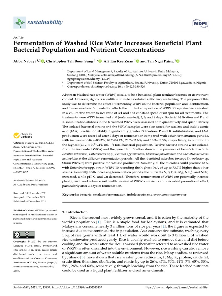 Fermentation of Washed Rice Water Increases Beneficial Plant Bacterial ...