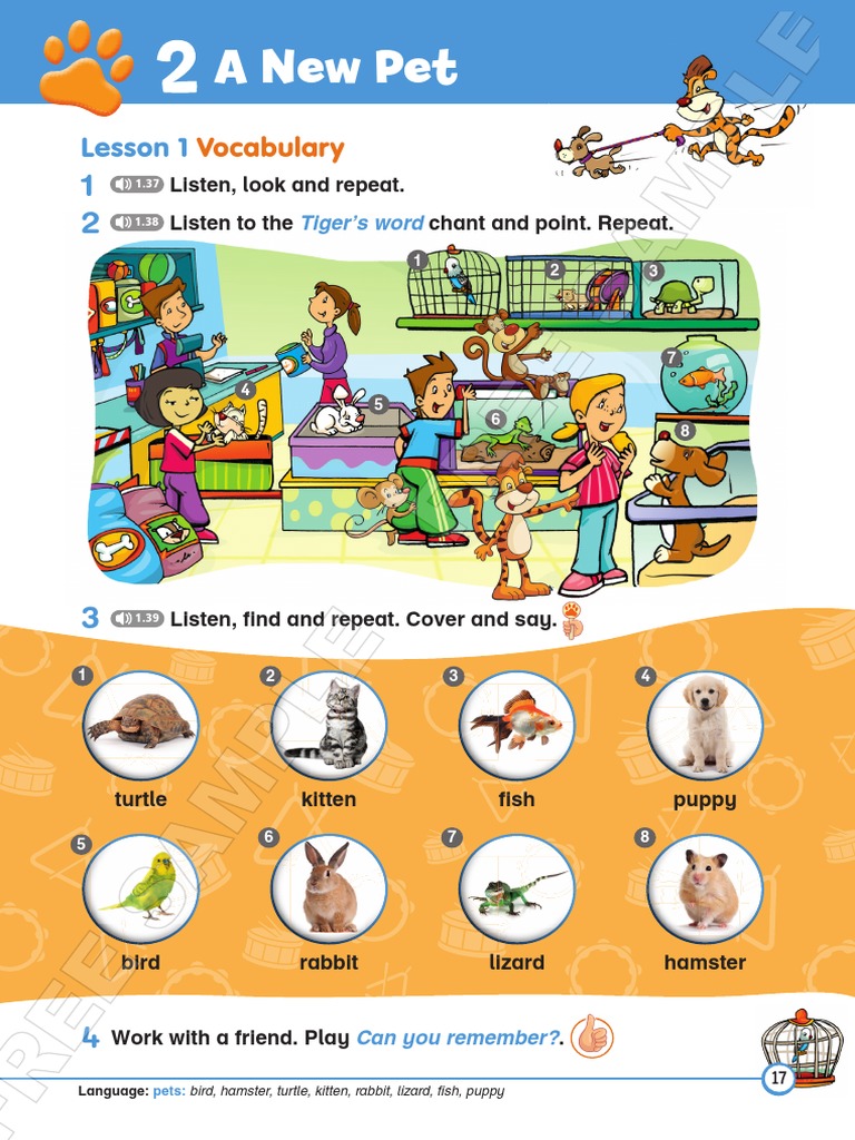 Pet Vocabulary and Activities Guide | PDF