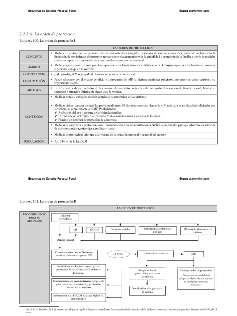 6 Orden de Proteccion y Medidas Cautelares Ii Esquema-2 | PDF | Mandato | Justicia