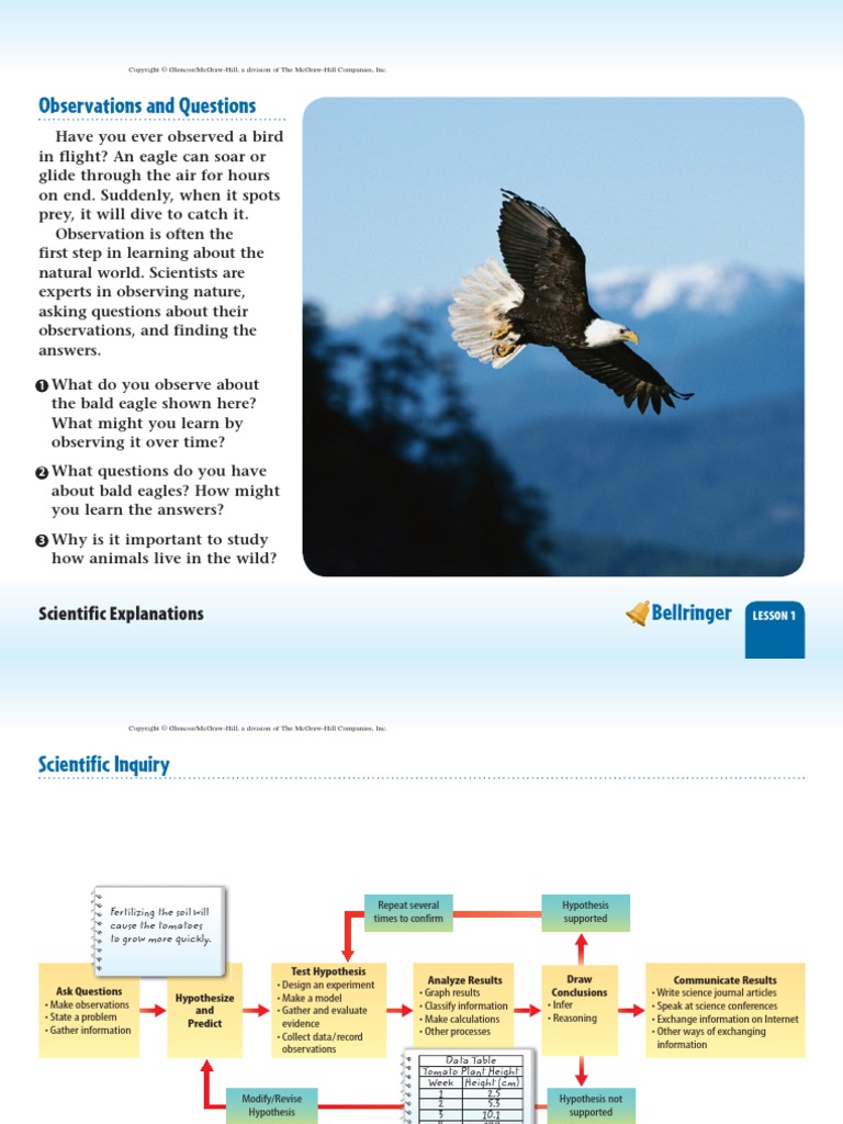 Scientific Method Warm Up | PDF