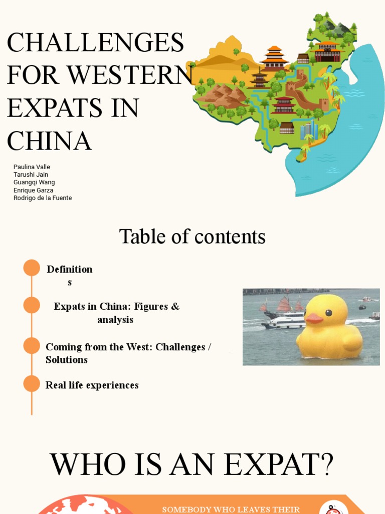 Expat Challenges in China: Insights & Solutions | PDF