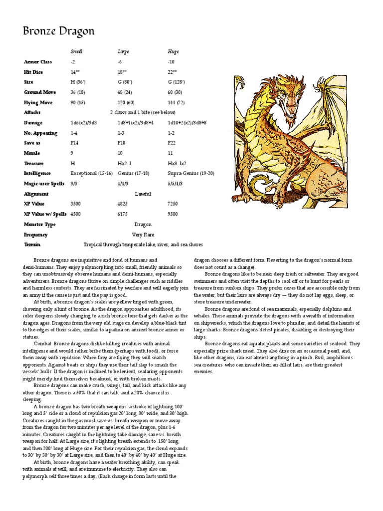 Bronze Dragon Guide | PDF | Dragon