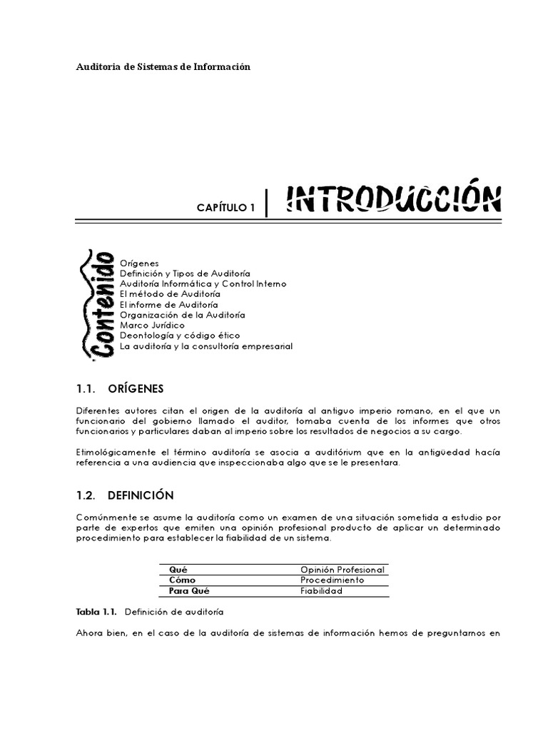 Lcgomezf Lcgomezf Cap 1 Introduccion Mod 120404 21 | PDF | Auditoría | Planificación