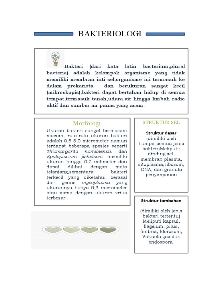 Bakteriologi: Morfologi | PDF | Griya & Taman | Kesehatan Holistik