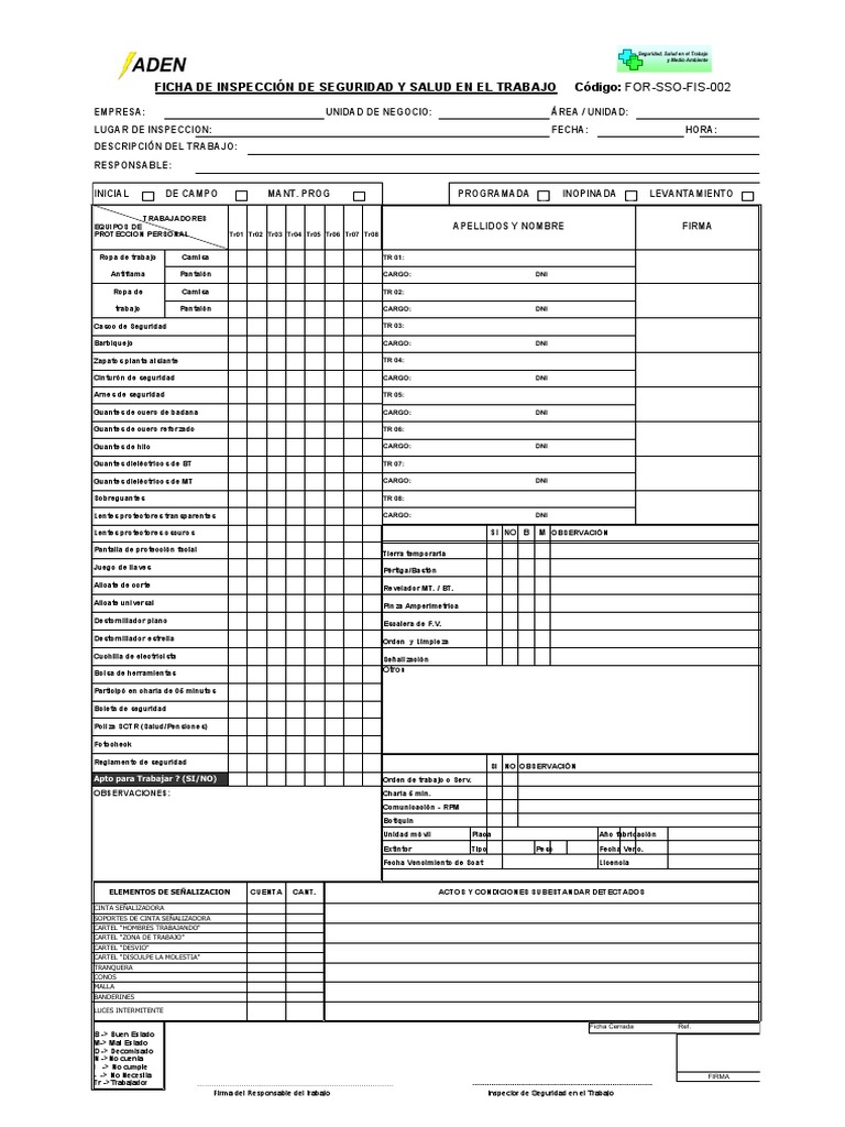For-Sso-Fis-002 Ficha Inspeccion Sso | PDF