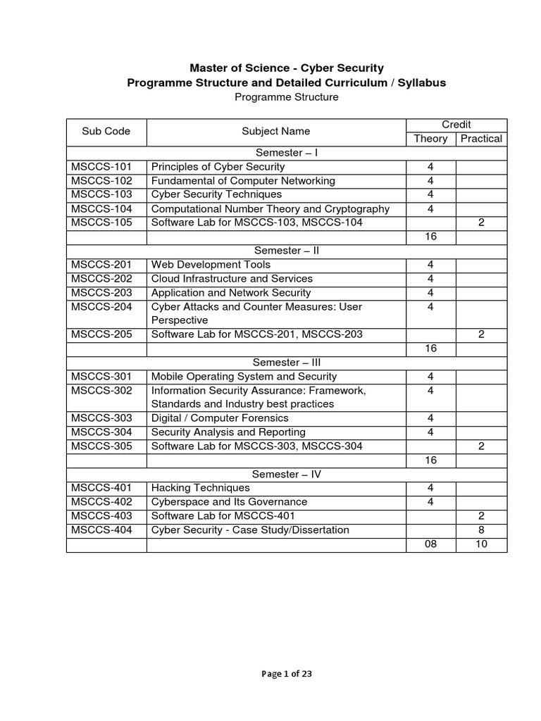 Computer Security and Audit Assurance Syllabus | PDF | Cloud Computing | Information Security