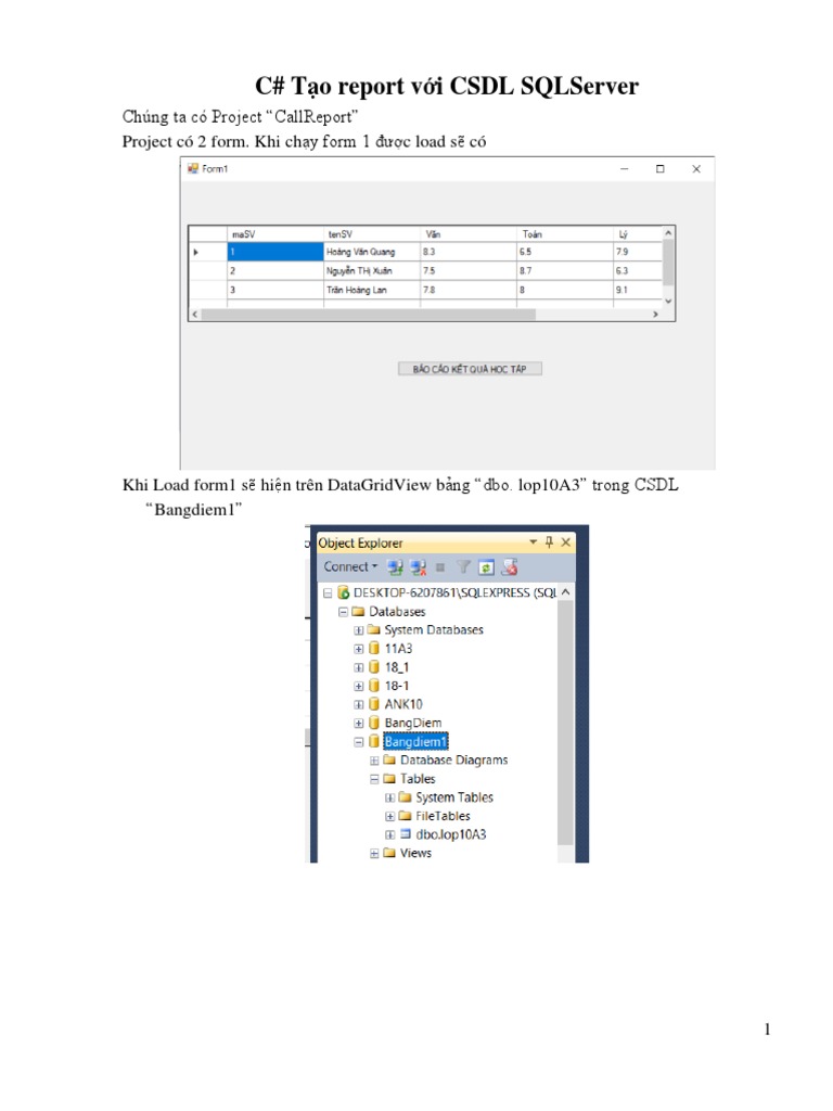C# Tạo Report Với Csdl Sqlserver: Chúng Ta Có Project "Callreport" Project Có 2 Form. Khi Chạy ...