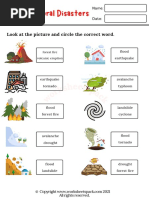 Natural Disasters Worksheetss | PDF | Natural Disasters | Earthquakes