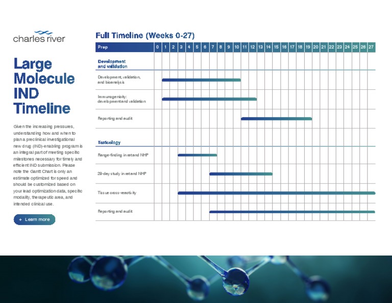SA Ind Gantt Charts Large Molecule | PDF