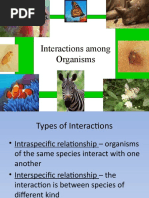 Military Dating Format | PDF | Love