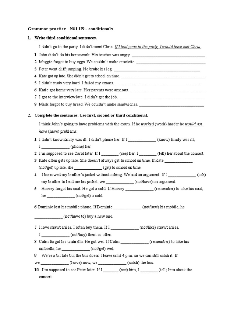 NSI U9 Grammar Practice - Conditionals | PDF