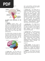 Class 5-Science Notes-The Nervous System | PDF | Brain | Nerve