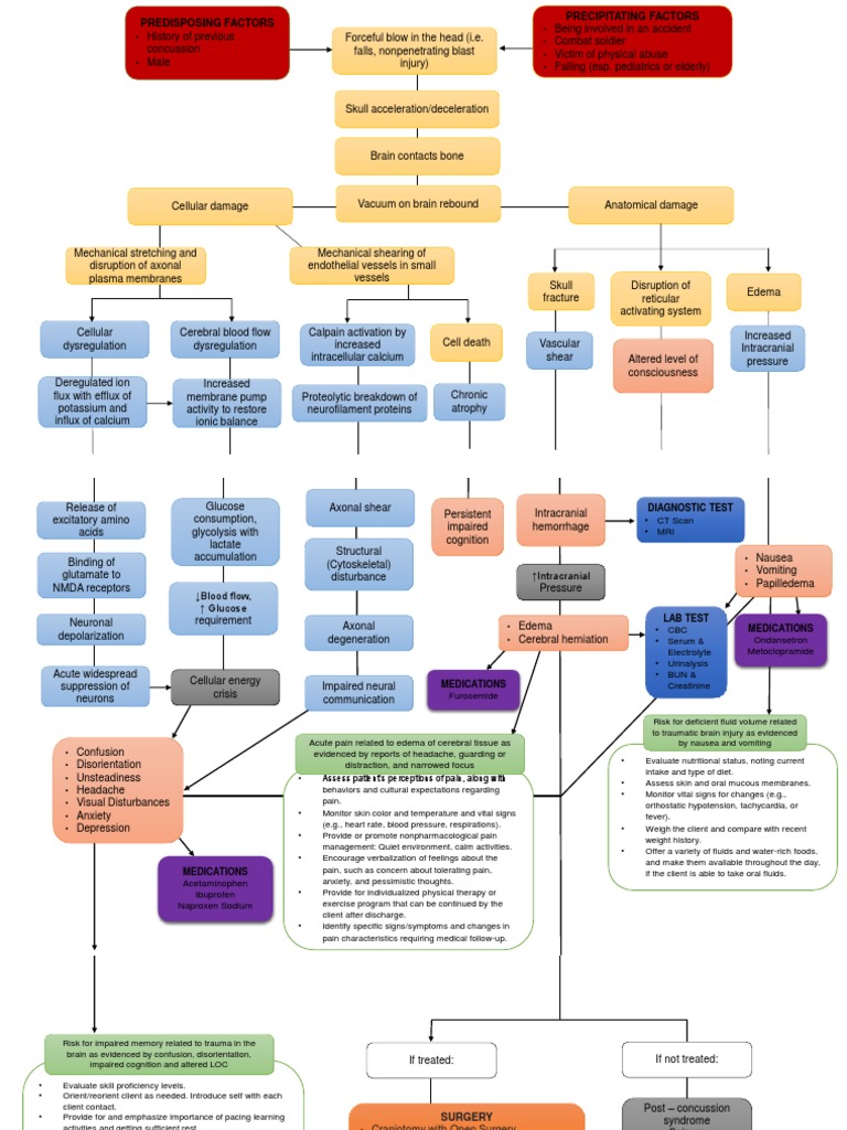 Cerebral Concussion - Pathophy | Download Free PDF | Pain | Concussion