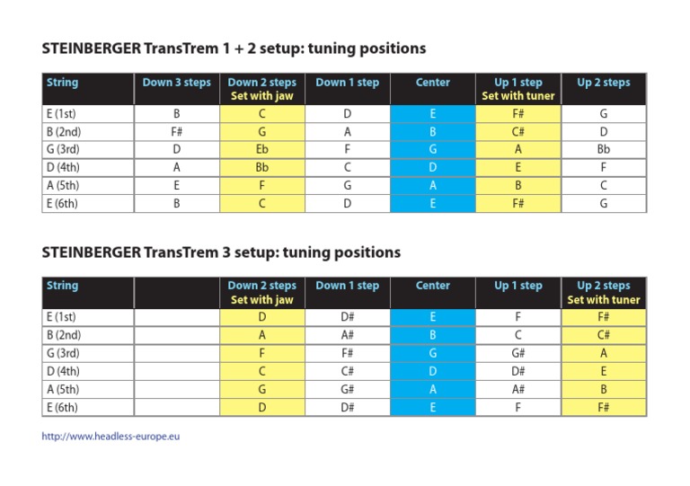 TransTrem Setup Chart 2 | PDF