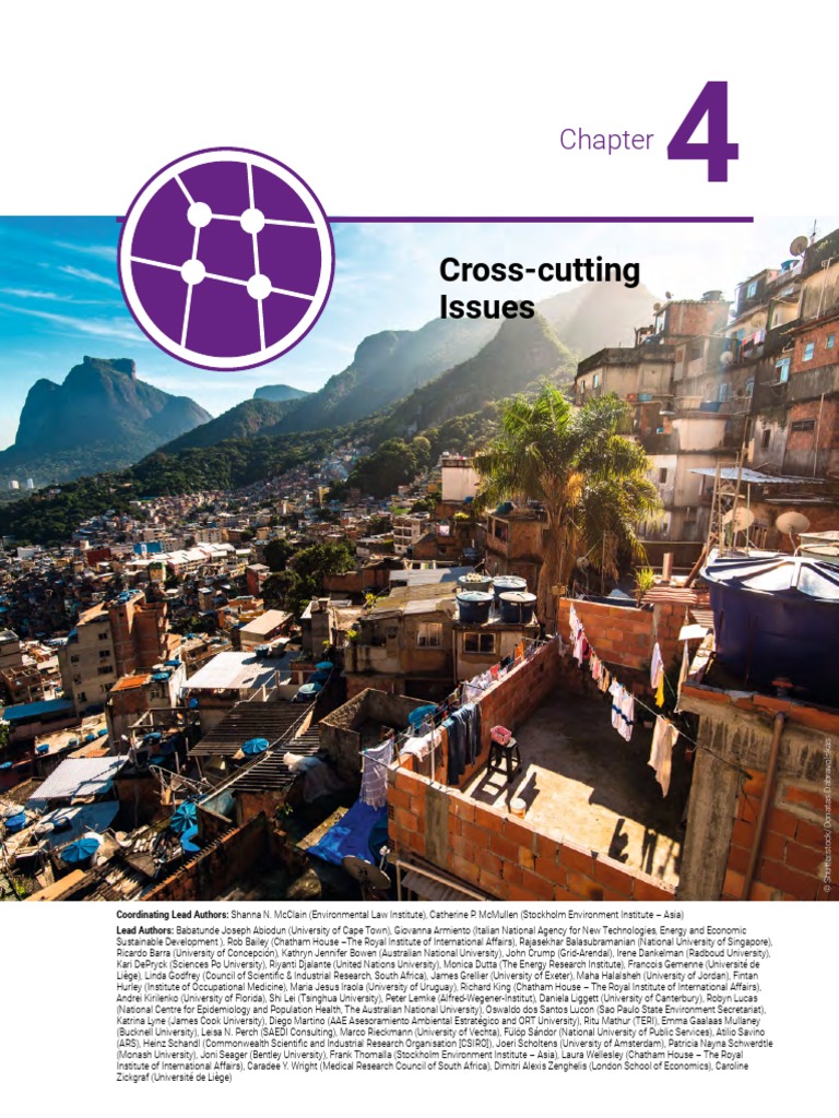 01 McClain Cross-Cutting Issues 2019 | Download Free PDF ...