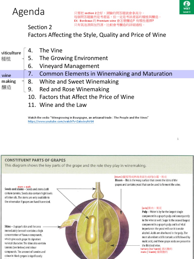WSET L3 - 2 - Chap07 - Common Elements in Winemaking and Maturation | PDF | Winemaking ...