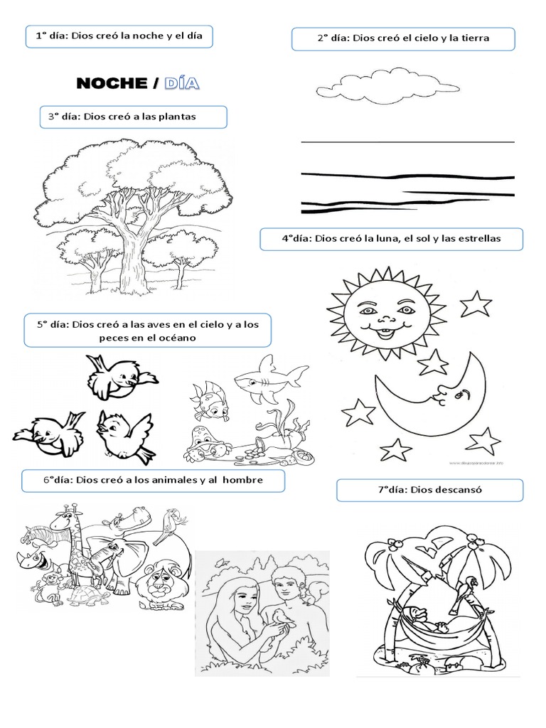 La Creación de Dios | PDF