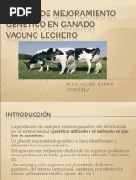 Administracion de Suero Via Intravenoso en Bovinos | PDF | Terapia ...
