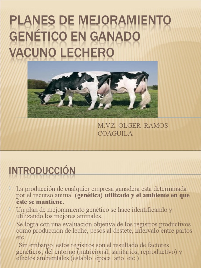 Estrategia de mejoramiento genético en ganado lechero mediante la selección de toros y vacas ...