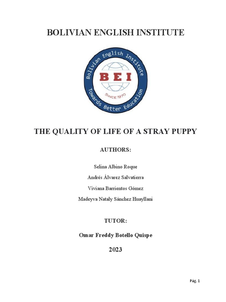 Bolivian English Institute: The Quality of Life of A Stray Puppy | PDF ...