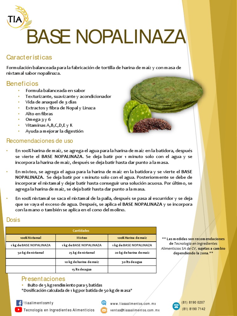 Base Nopalinaza para Tortillas Saludables | PDF | Maíz | Alimentos