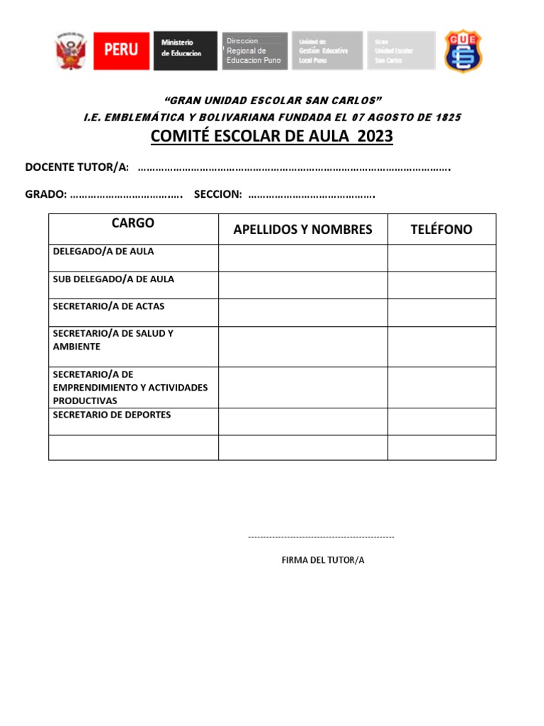 Comité Escolar Aula | PDF