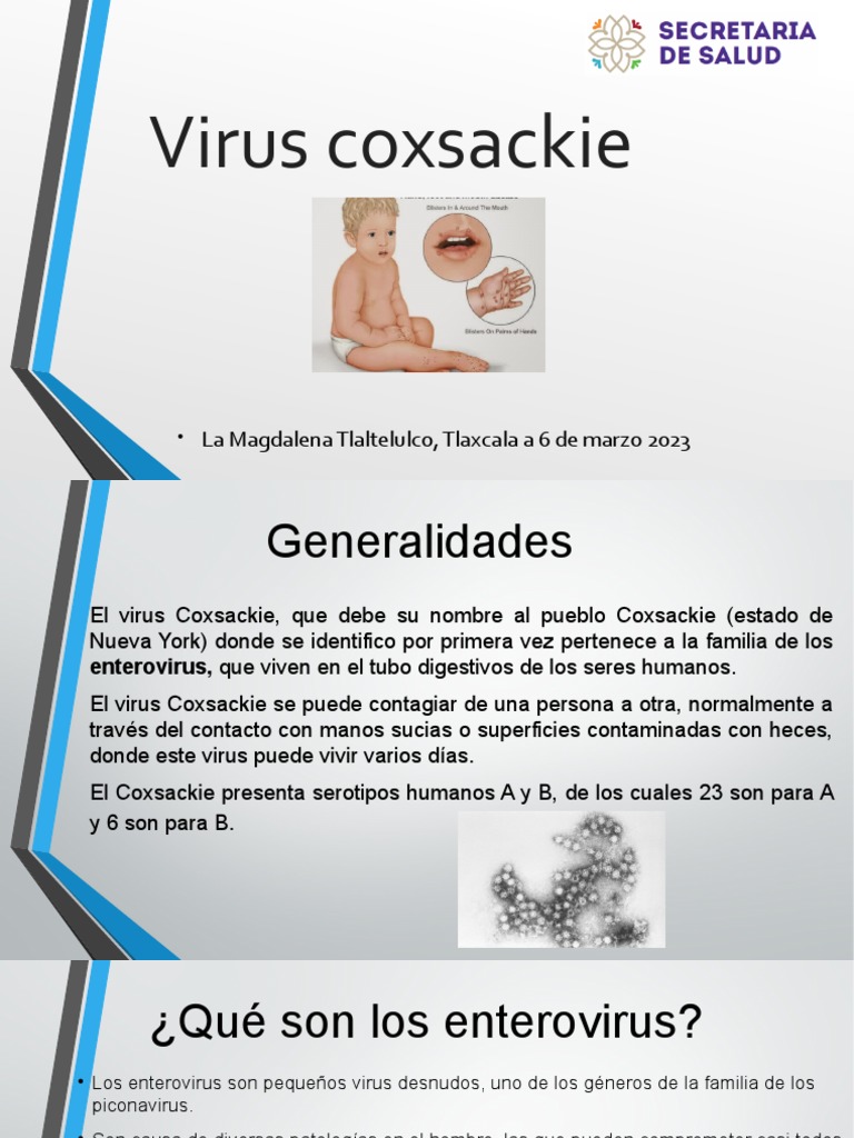 Coxsackie Final | PDF | Virus | Microbiología