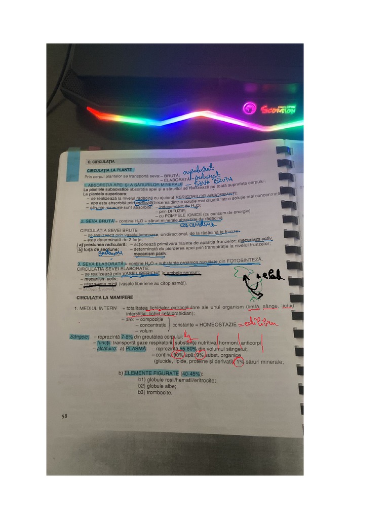 Circulatia Bac 10 Teorie | PDF