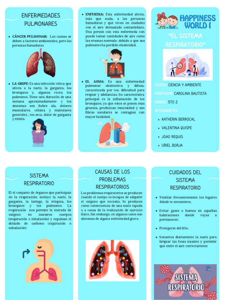 Triptico | PDF | Sistema respiratorio | Pulmón