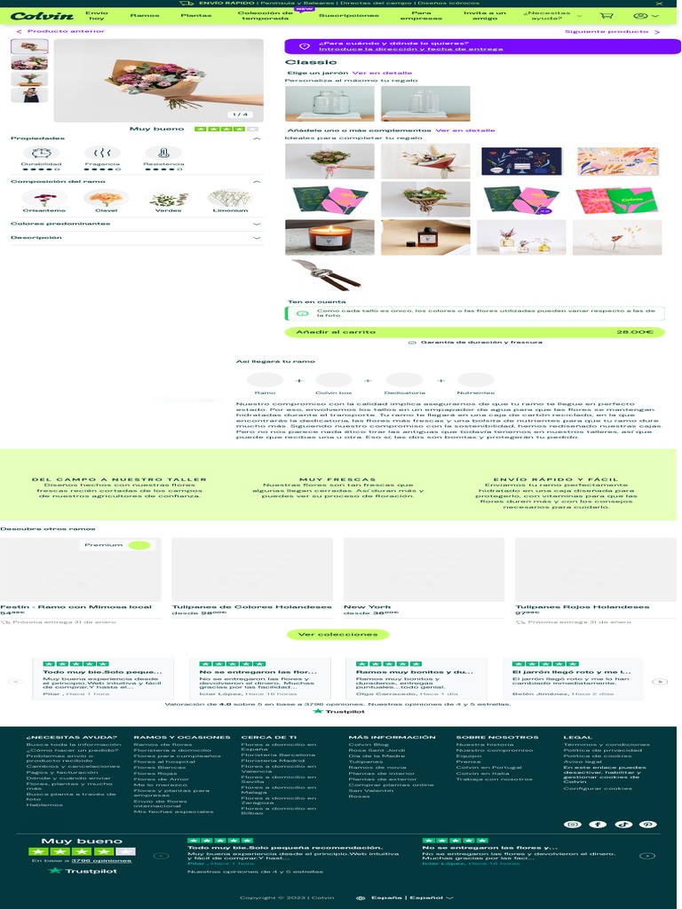 Classic: Muy Bueno | PDF