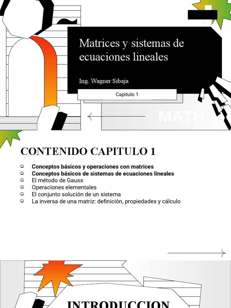 Cap 1 Matrices y Sistemas de Ecuaciones Lineales | PDF | Ecuaciones ...