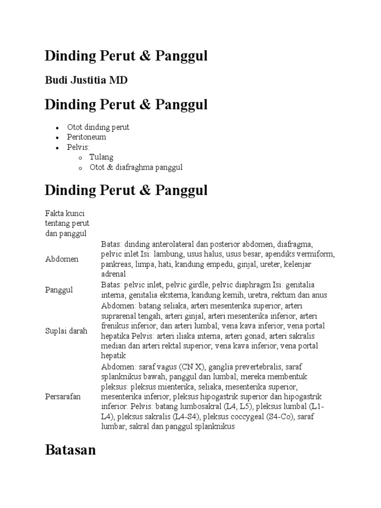 Anatomi Abdomen Pelvis Pdf