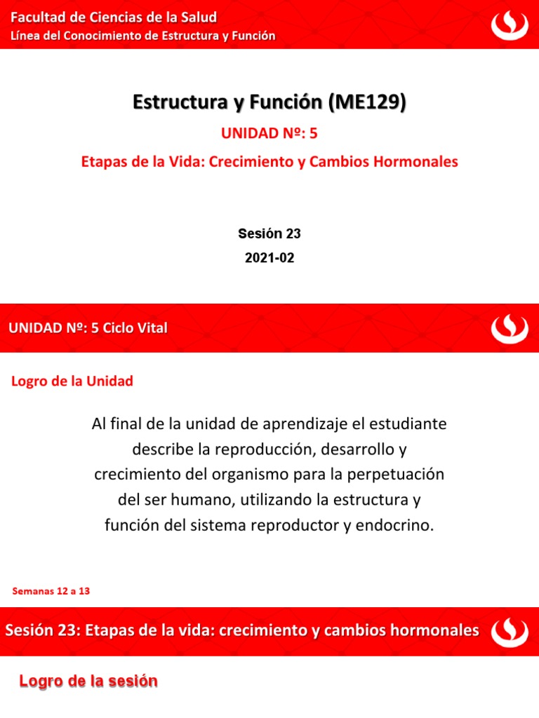 Sesi n 23 Presentaci n EyF 202102 | PDF | Hormona | Glándula pituitaria