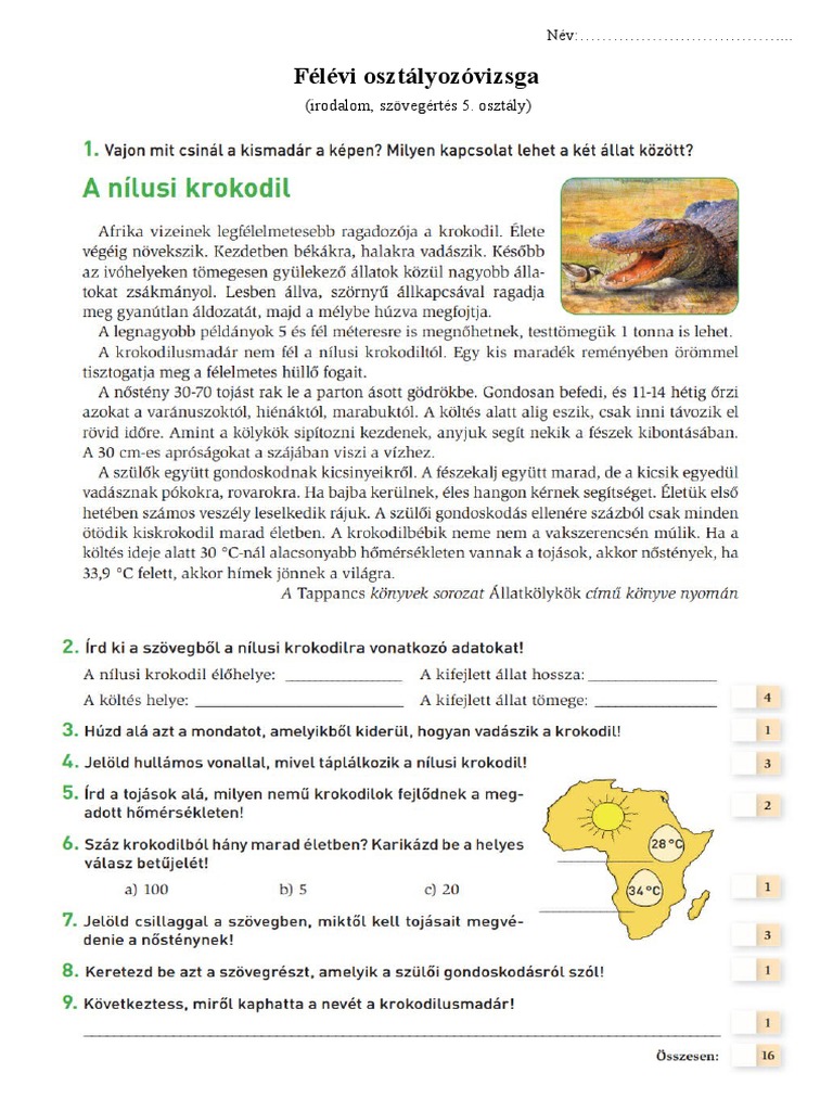 Félévi Osztályozóvizsga (Irodalom, Szövegértés 5. O.) | PDF