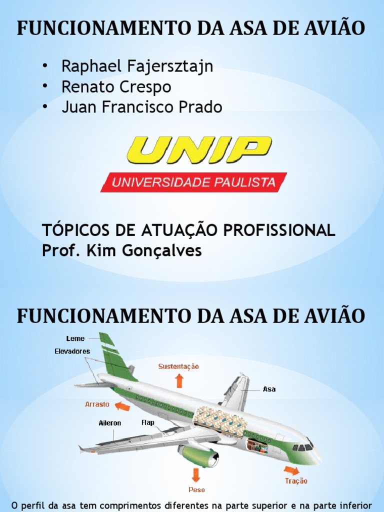 02 - Funcionamento Da Asa de Um Aviao | PDF | Avião | Asa
