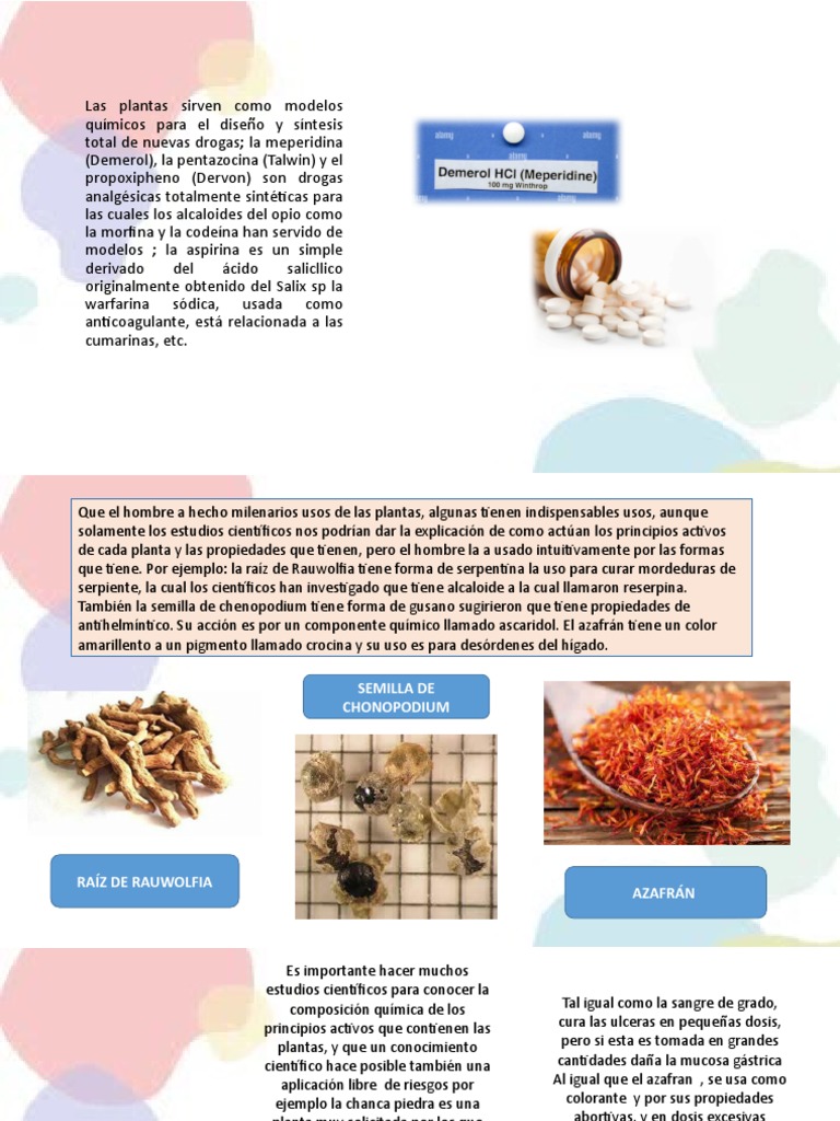 Diapositivas de Laura 1 | PDF