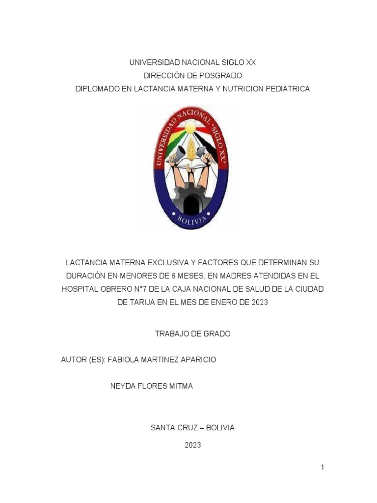 Monografia Lactancia Final | PDF | Amamantamiento | Pecho