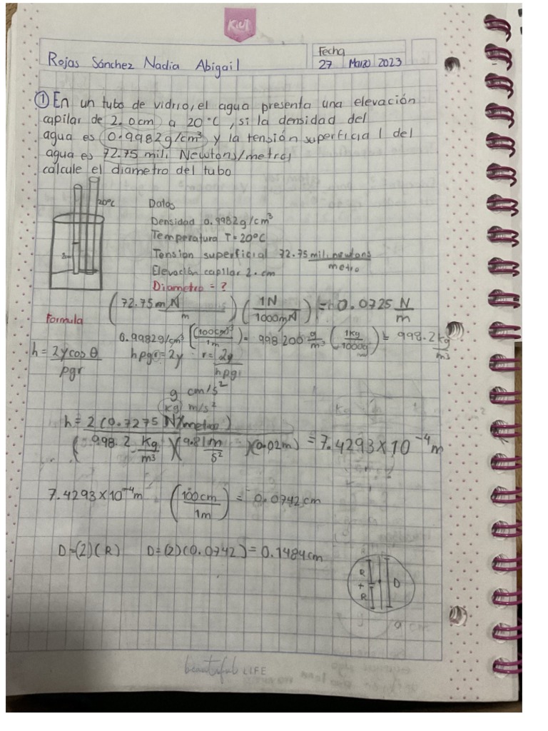 Depresión capilar: -14.6 mm | PDF