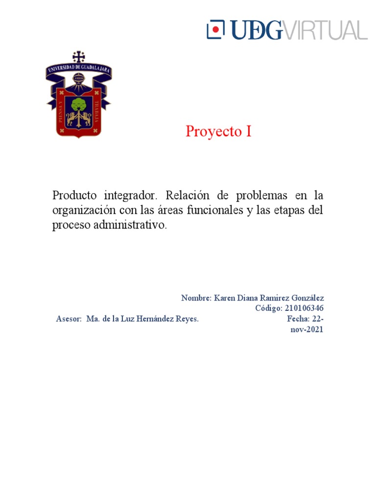 Proyecto I P.Integrador - Karen Ramirez | PDF | Marketing | Producto (Negocio)