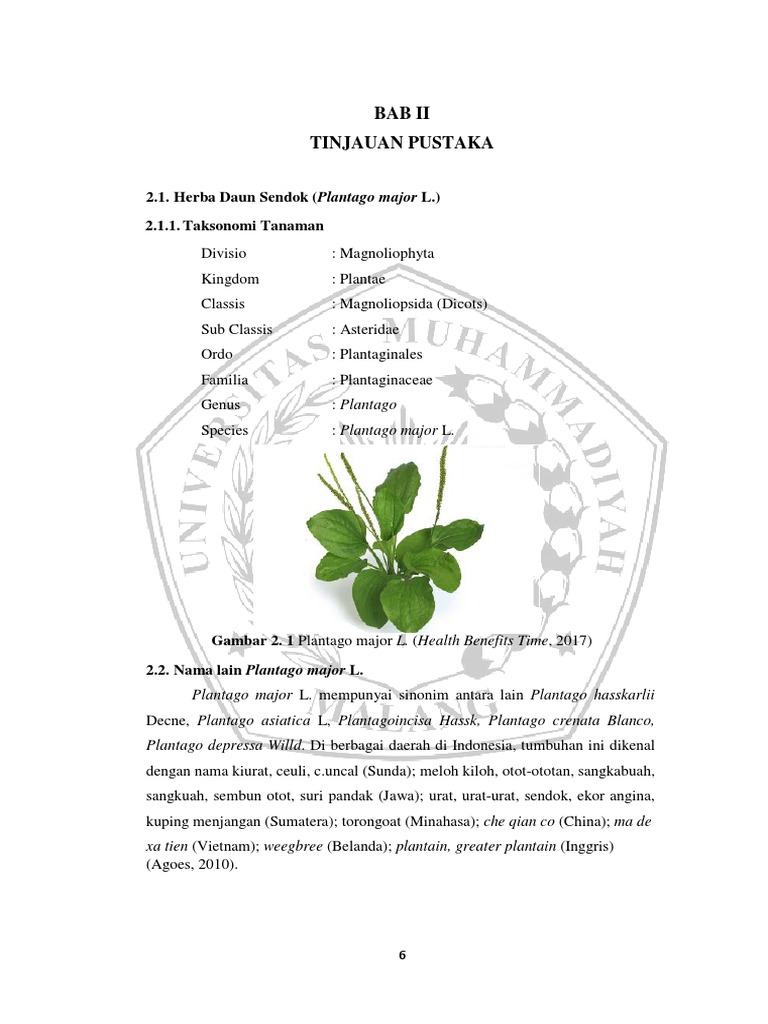 Bab 2 Pdf