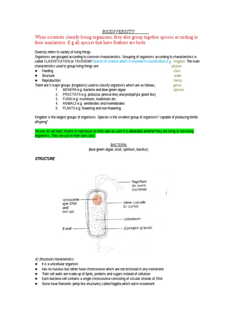 Biodiversity | PDF | Virus | Bacteria