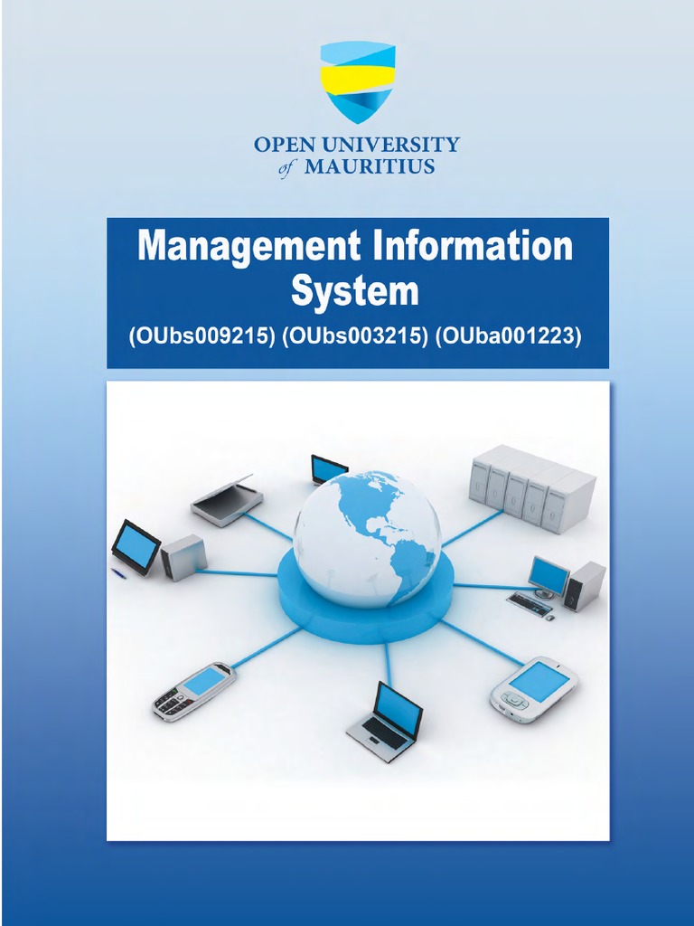 An Overview of Management Information Systems: Data, Processes, Functions and Evolution | PDF ...