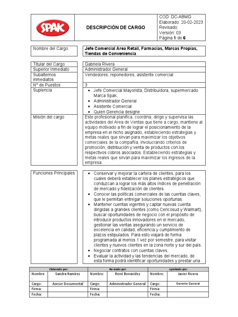 Descriptor de Cargo V3 | PDF | Planificación estratégica | Business