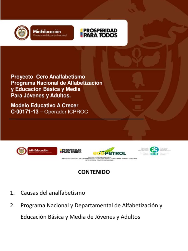 Proyecto Cero Analfabetismo Programa Nacional de Alfabetización y Educación Básica y Media para ...