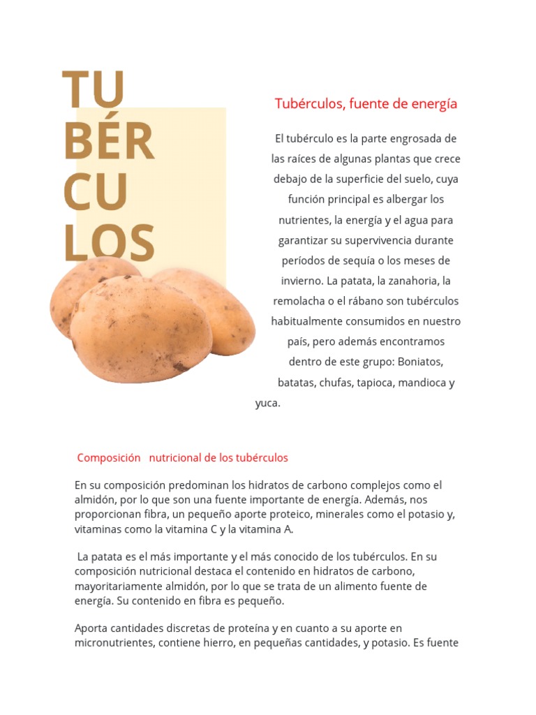 Tuberculos | PDF | Legumbre | Alimentos