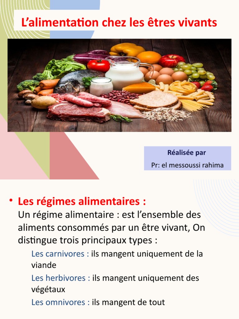 L'alimentation Chez Les Êtres Vivants: PR: El Messoussi Rahima | PDF ...