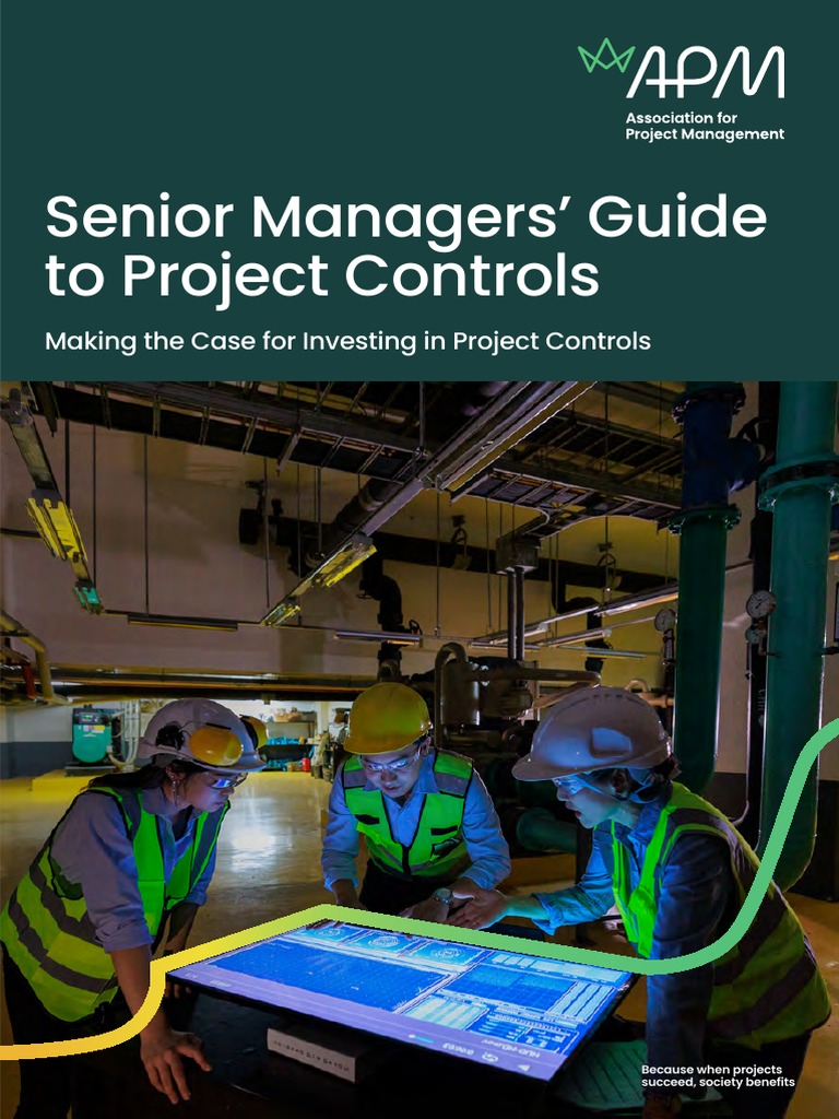 Senior Managers Guide To Project Controls | PDF | Project Management | Risk