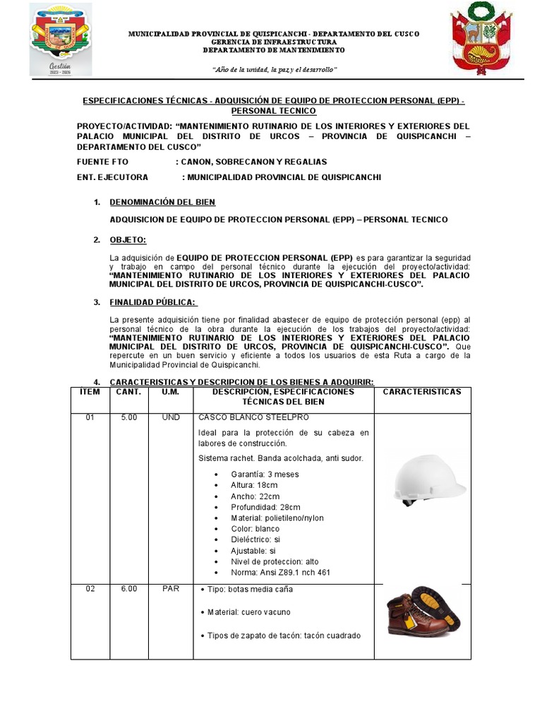 Eett - Equipo de Proteccion Personal Epps - Tecnico | PDF