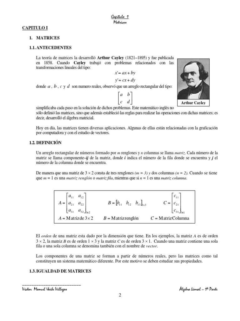 MODULO Algebra Lineal | PDF | Matriz (Matemáticas) | Determinante