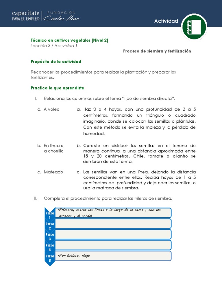 Proceso de siembra y fertilización | PDF | Siembra | Semilla